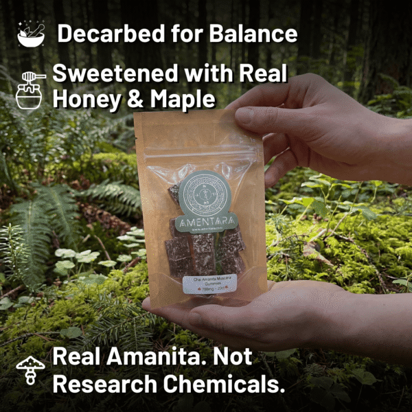 Amanita Muscaria Gummies - Amentara